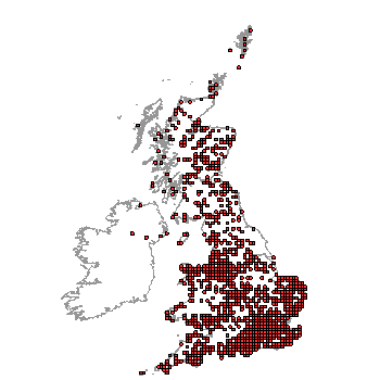 NBN Gateway terms and conditions