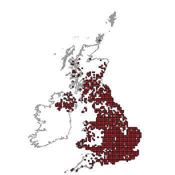 NBN Gateway terms and conditions