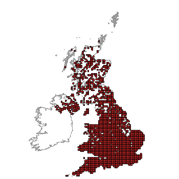 Peppered Moth Biston betularia