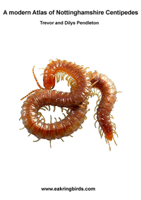 Centipedes and Millipedes of Nottinghamshire